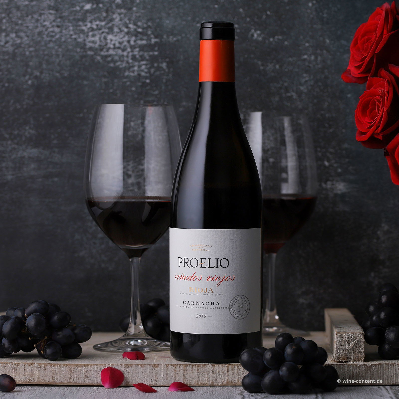 Proelio - Rioja 2019 Garnacha Vinedos Viejos