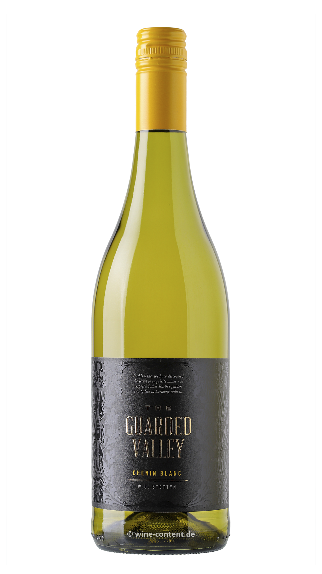 Stettyn - Chenin Blanc 2024 The Guarded Valley