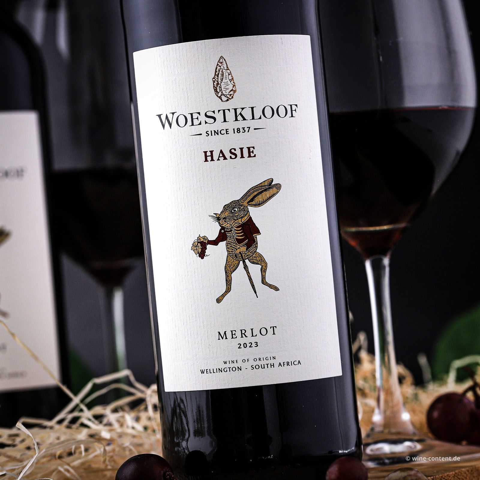 Woestkloof - Merlot 2023 Hasie