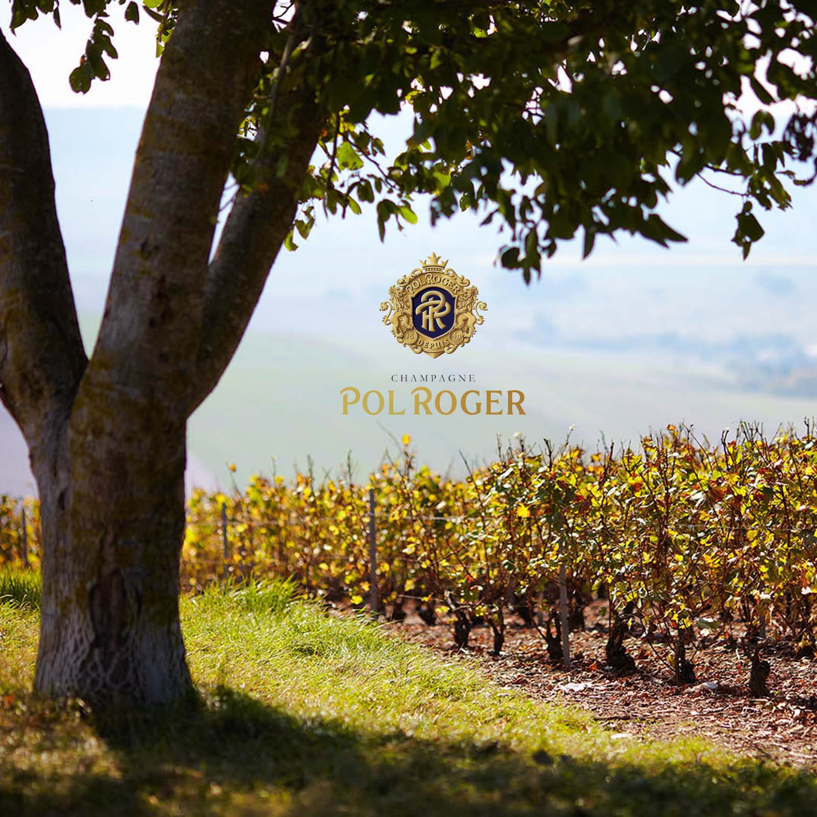 Pol Roger - 6er-Sparpaket Champagner Réserve Brut