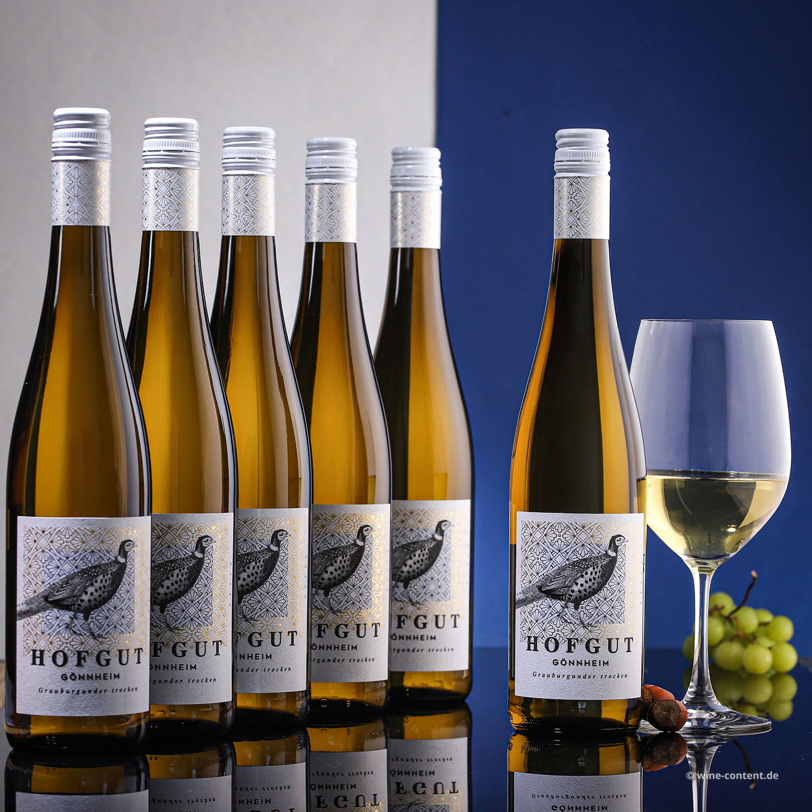 Hofgut Gönnheim - 6er-Sparpaket Grauburgunder 2023 Gönnheim Bio