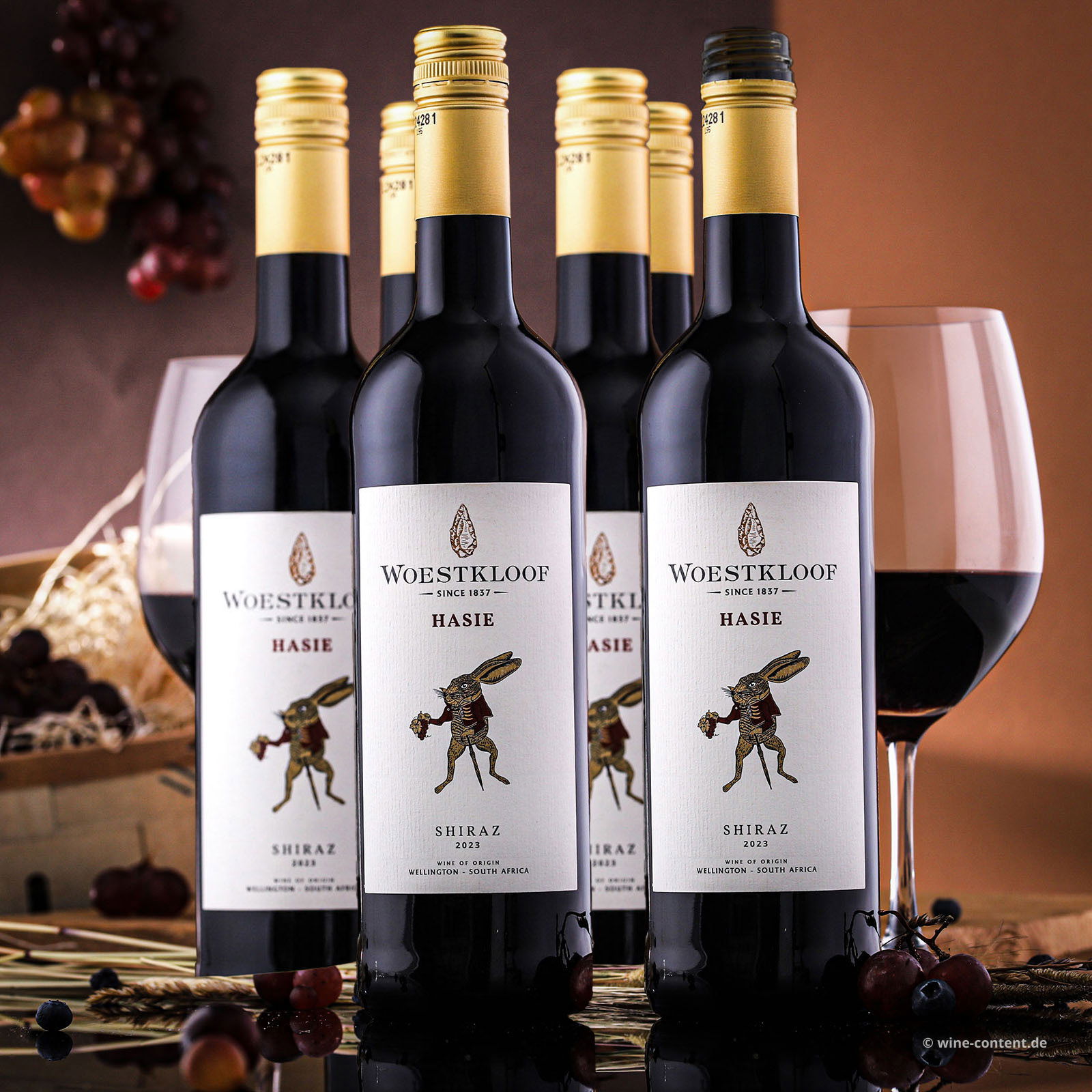Woestkloof - 5+1 Sparpaket Shiraz 2023 Hasie