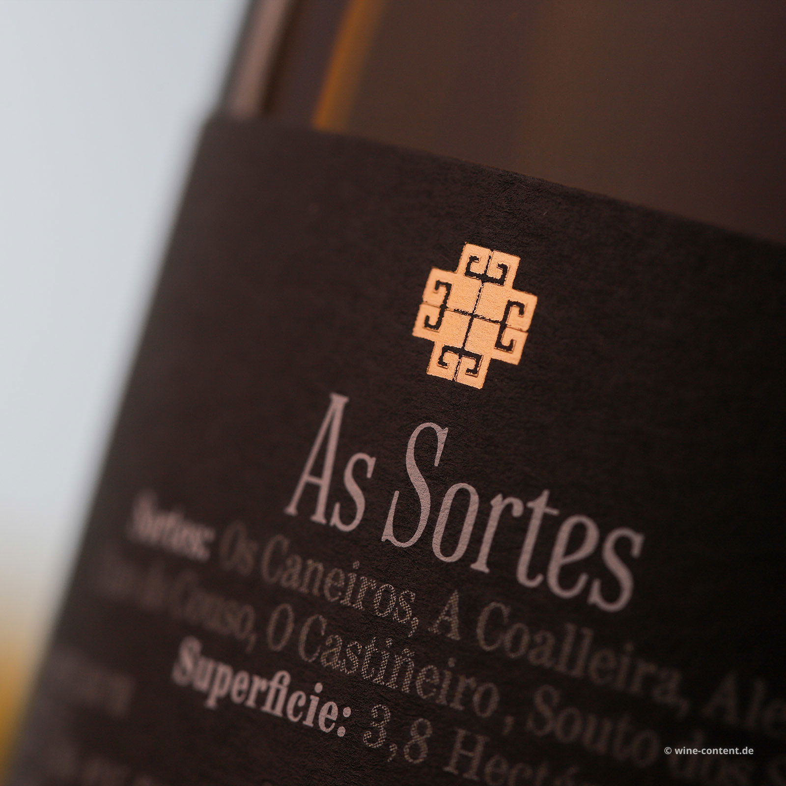 Rafael Palacios - Godello 2022 As Sortes