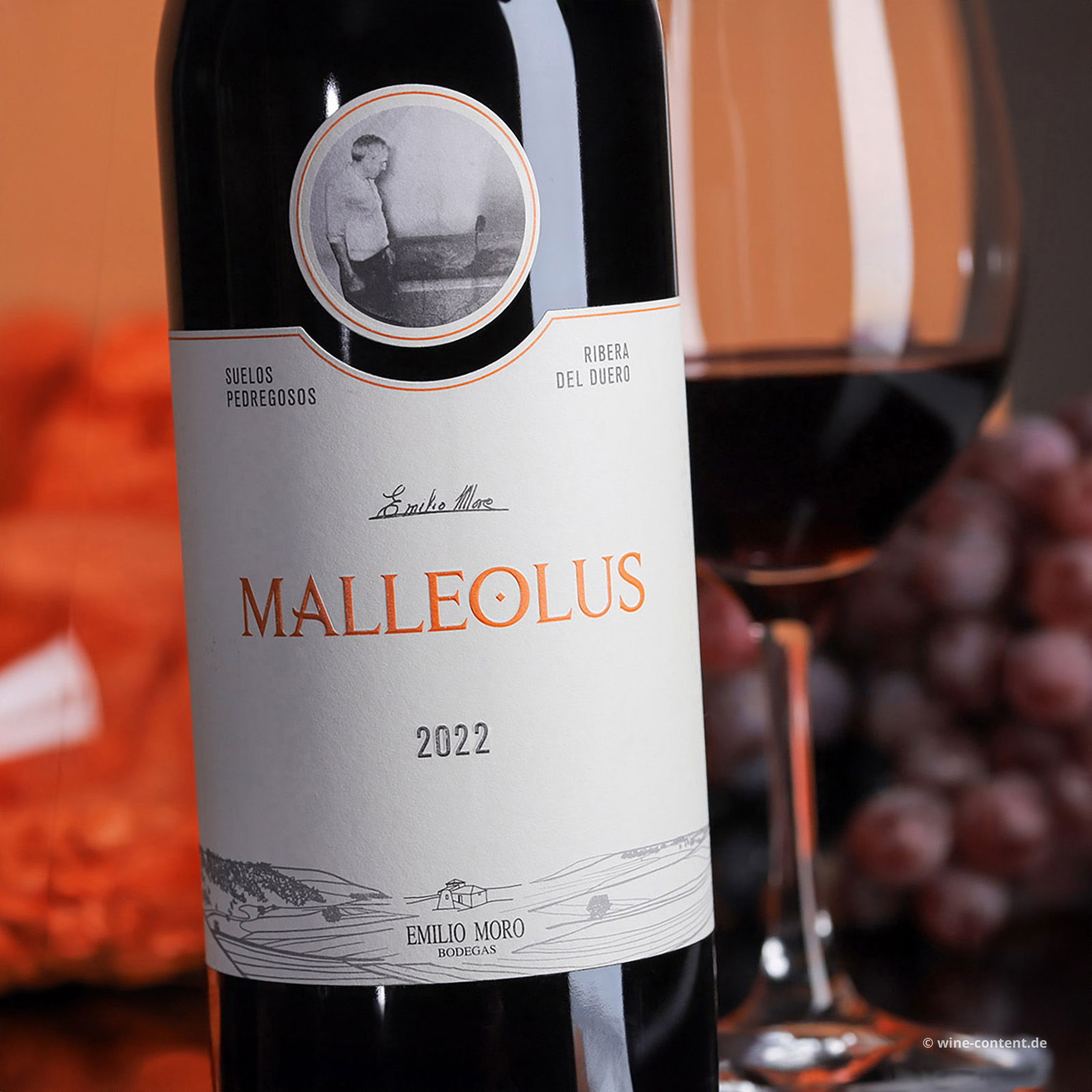 Emilio Moro - Tempranillo 2022 Malleolus