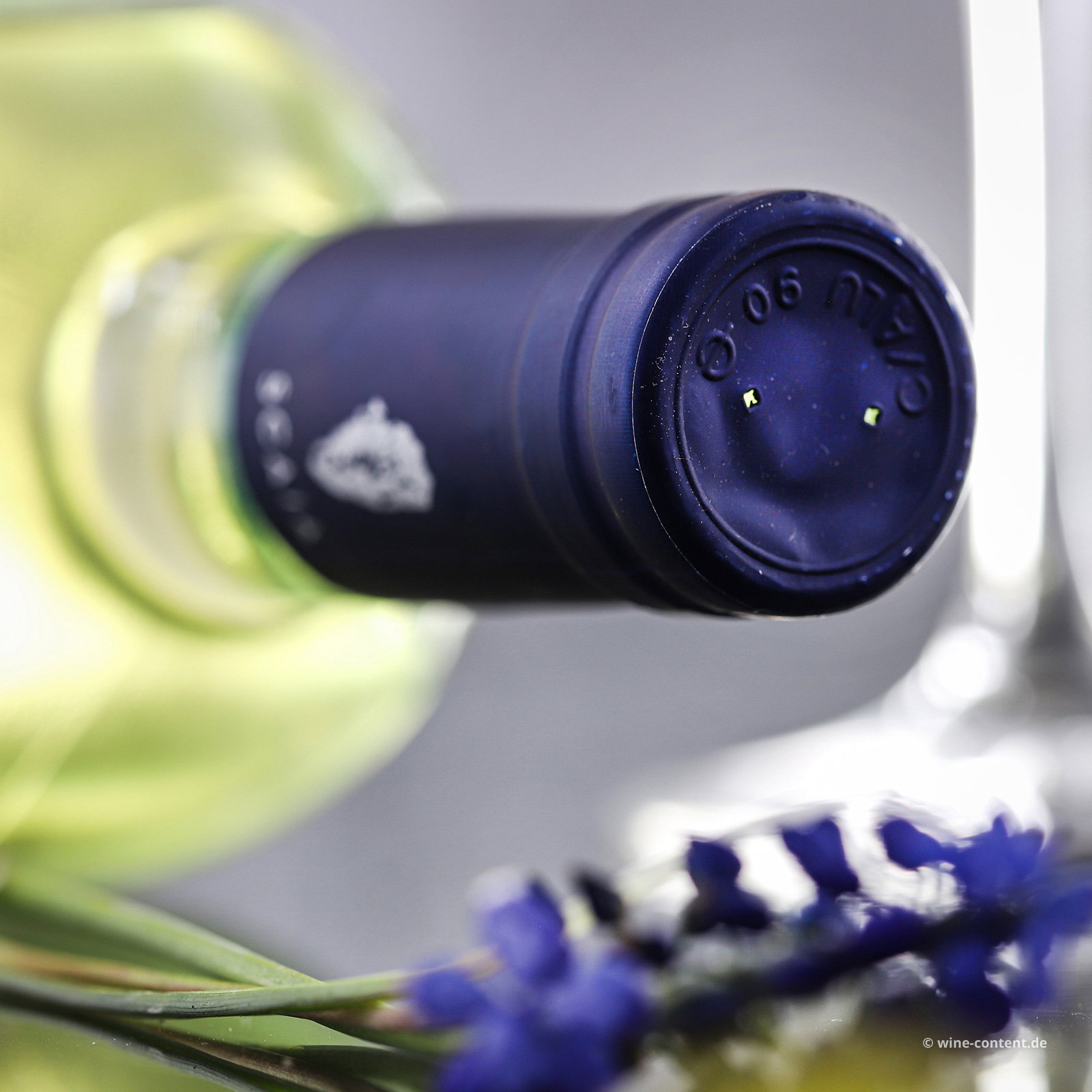Tenuta Sant'Antonio - Scaia Bianco 2025