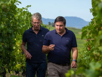 Crand C Crémant d'Alsace jetzt bei VIPINO online bestellen