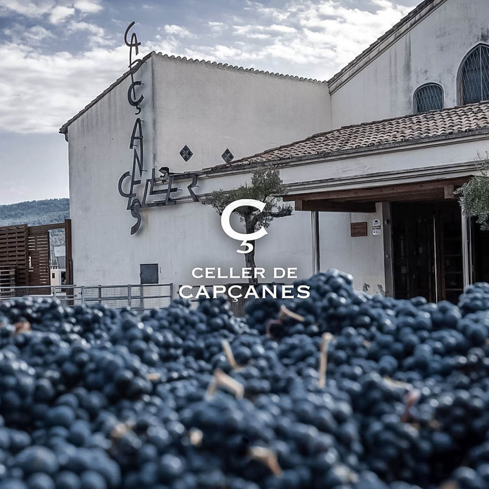 Celler de Capçanes - La Nit de les Garnatxes 2022 Panal (Sand)