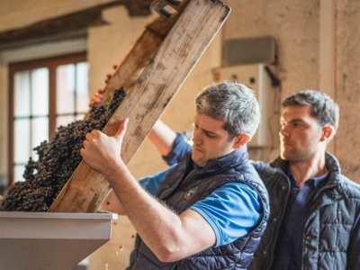 Pierre Paillard Grand Cru Champagner bei VIPINO online bestellen