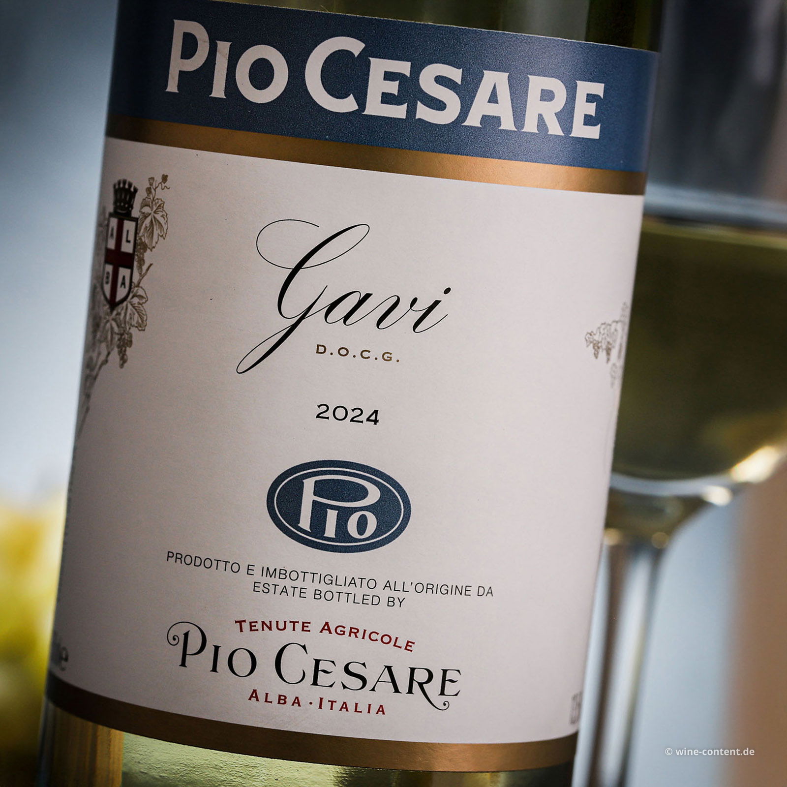 Pio Cesare - Gavi 2024