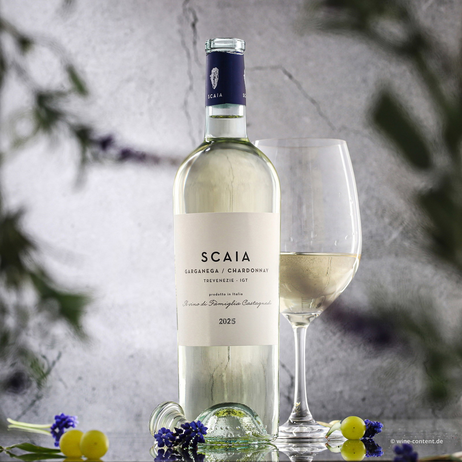 Tenuta Sant'Antonio - Scaia Bianco 2025