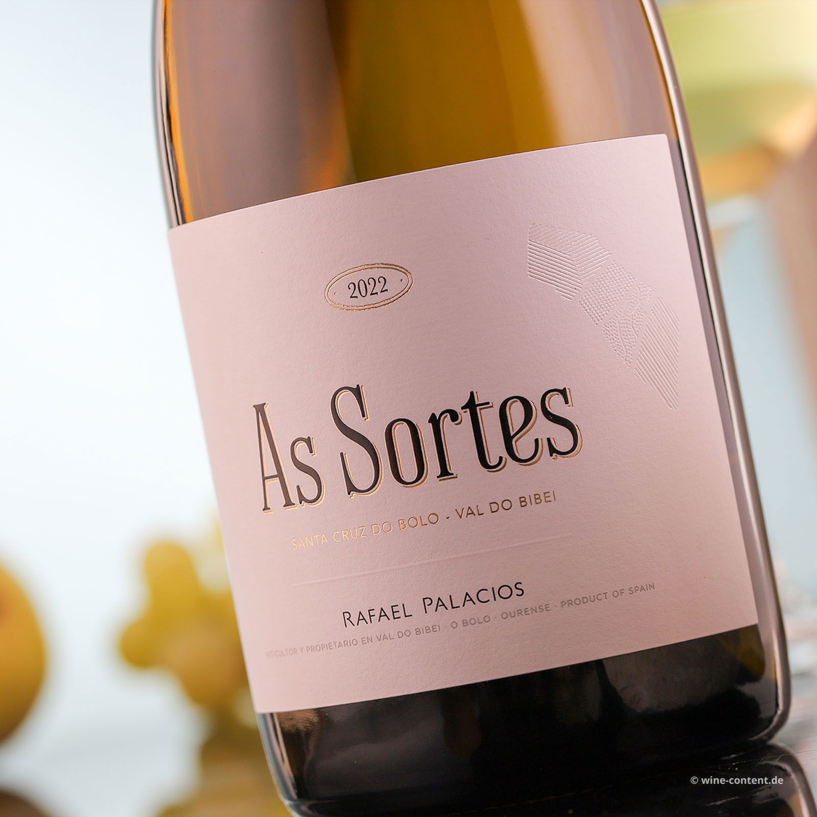 Rafael Palacios - Godello 2022 As Sortes